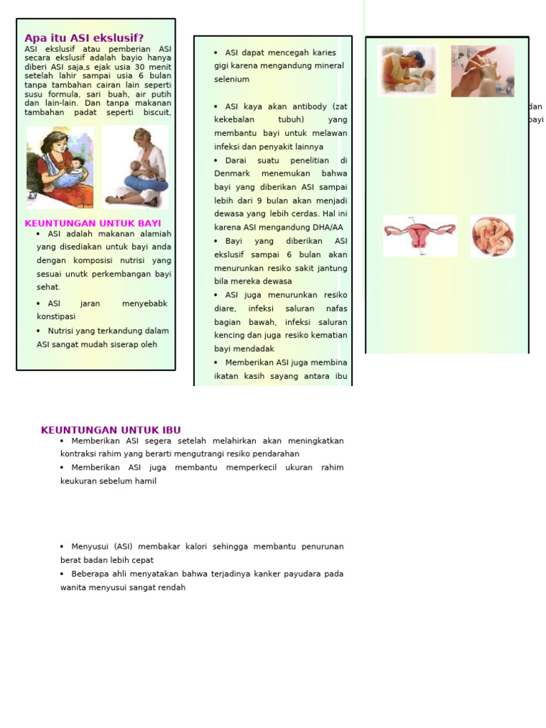 Sap Post Partem | PDF