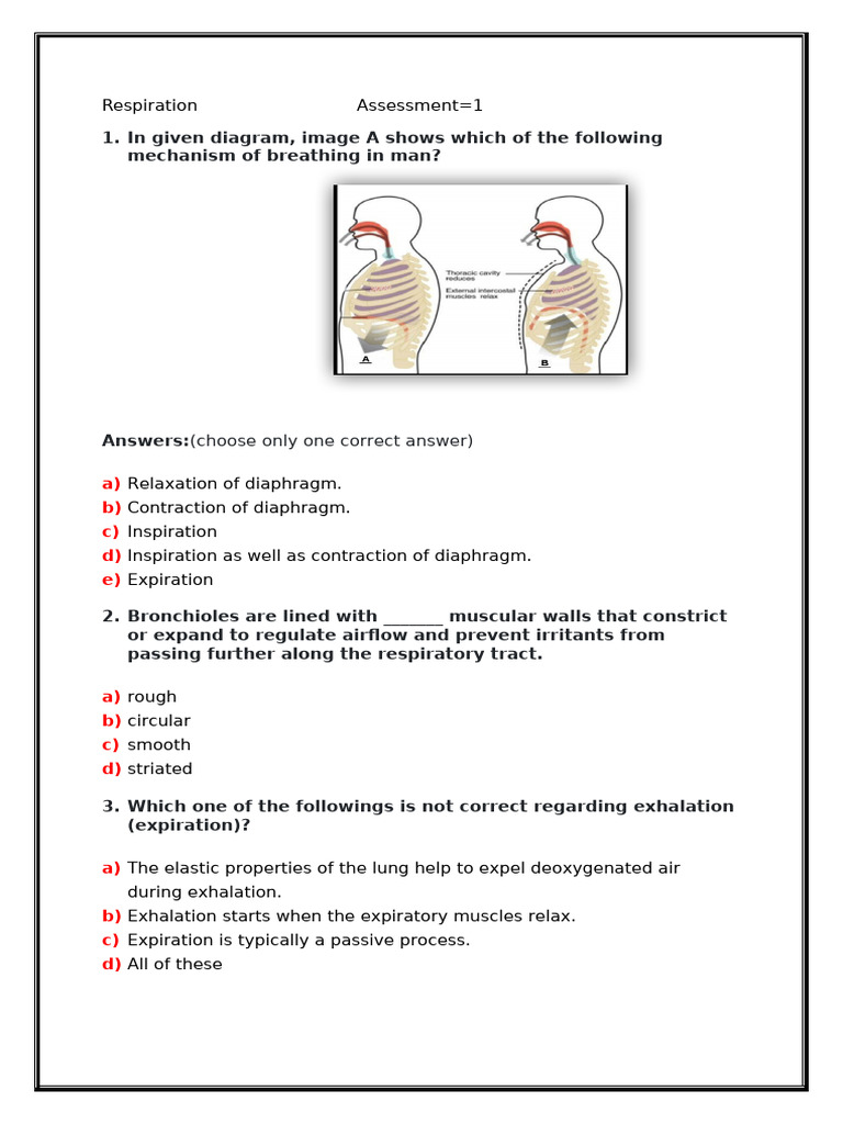 Respiration Assessment | PDF