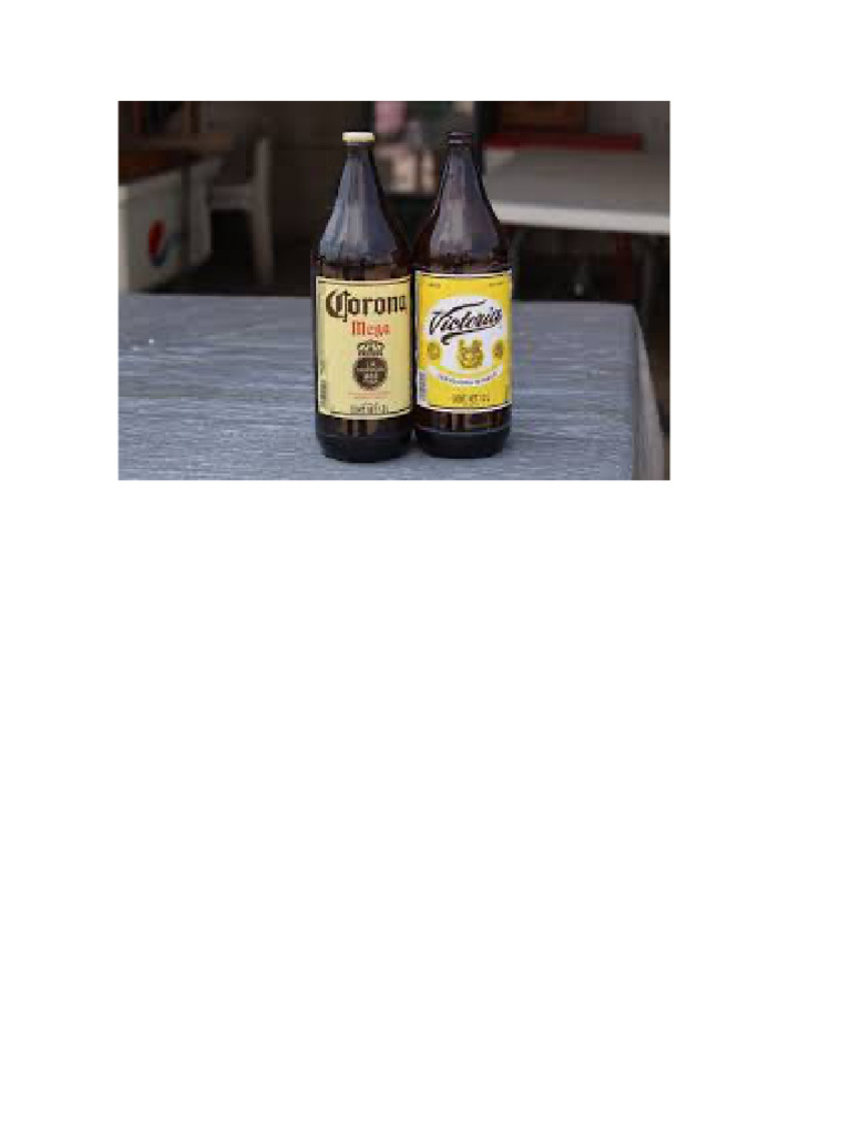 Cerveza Caguama | PDF