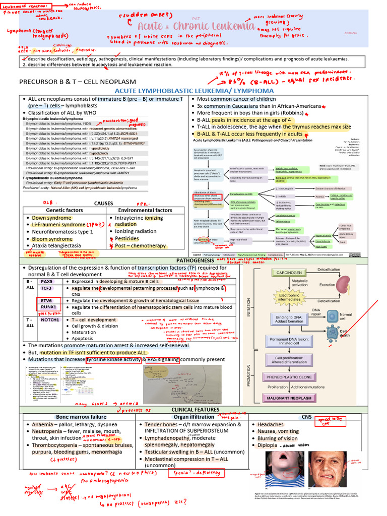 Lec 4,5 - Acute - Chronic Leukemia | PDF
