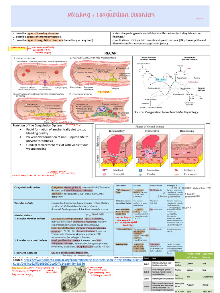 Lec 7 - Bleeding - Coagulation Disorders | PDF