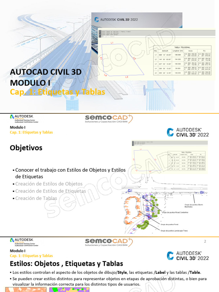Capitulo 01 I-B Etiquetas-Tablas | PDF