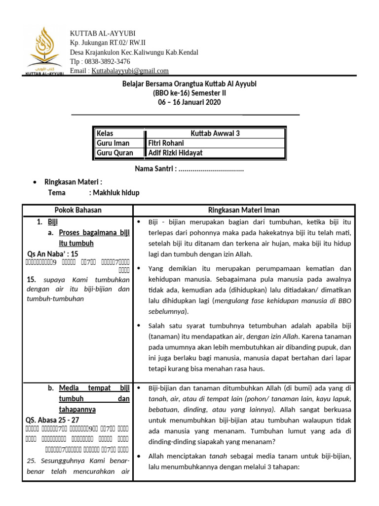 Bbo 16 Biji, Buah Dan Daun | PDF