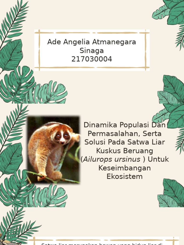 Ade Angelia Atmanegara Sinaga - 217030004 - Satwa Liar Kuskus | PDF