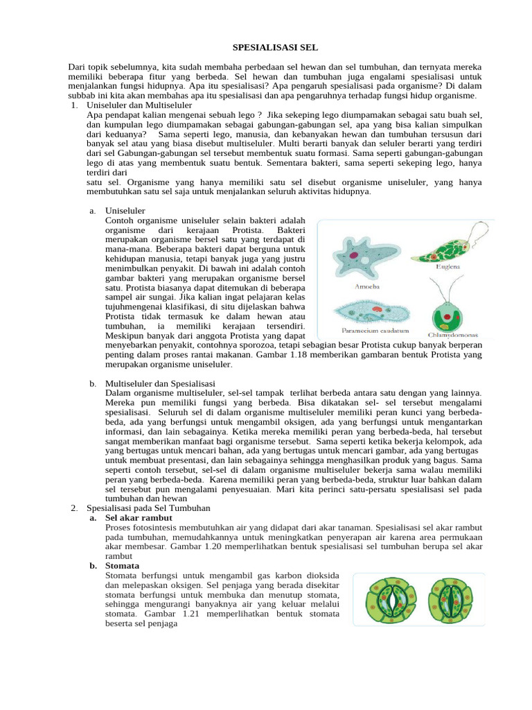 Bab-1-Materi Spesialisasi Sel | PDF