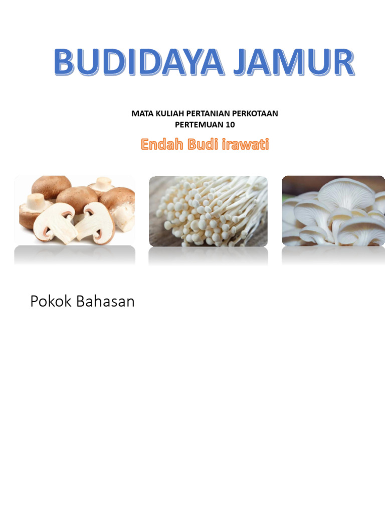10 Budidaya Jamur | PDF