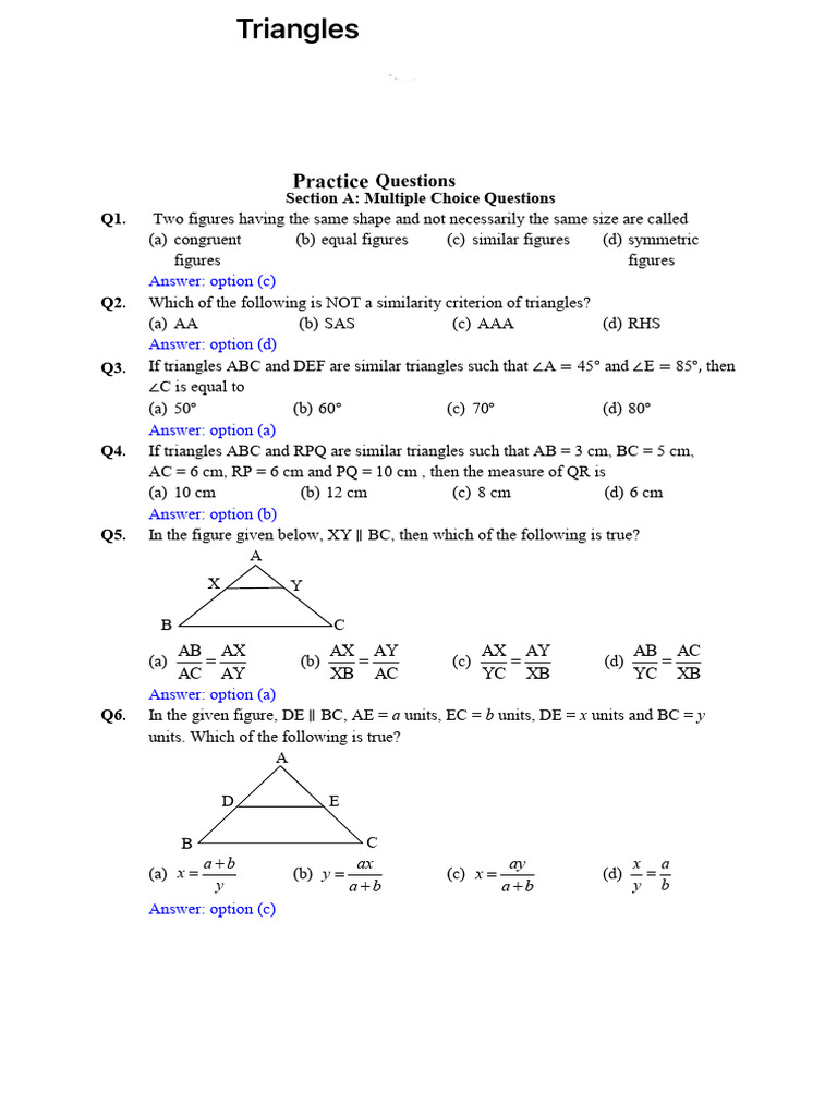 CH 6 Triangles Class X | PDF
