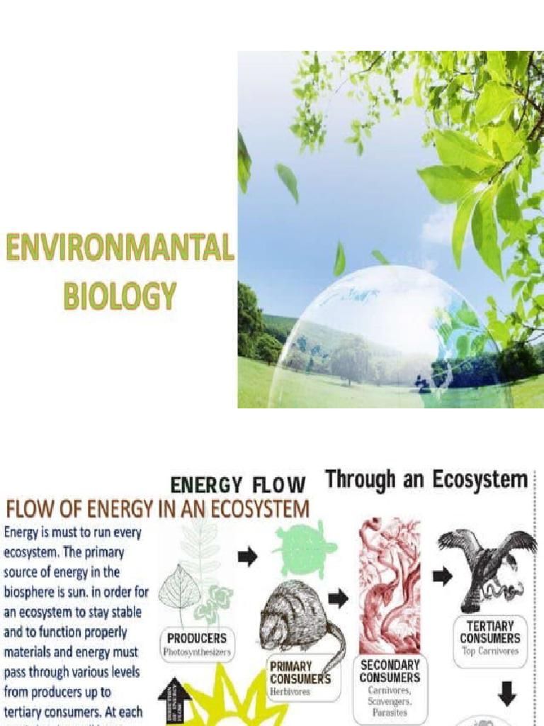 LECTURE | PDF