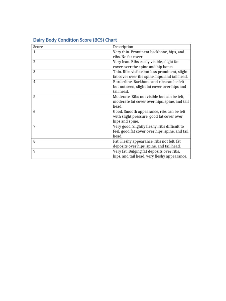 BCS Chart Cattle | PDF