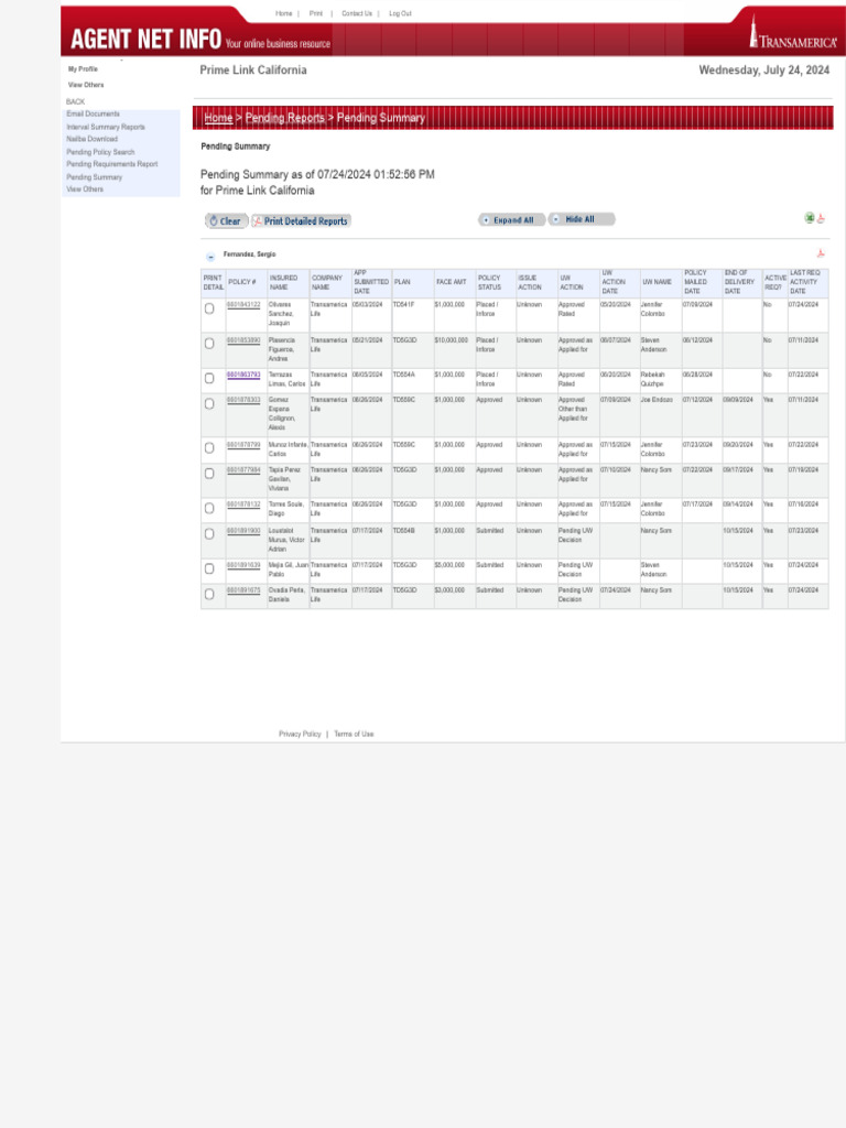 Agent Net Info - Pending Summary | PDF