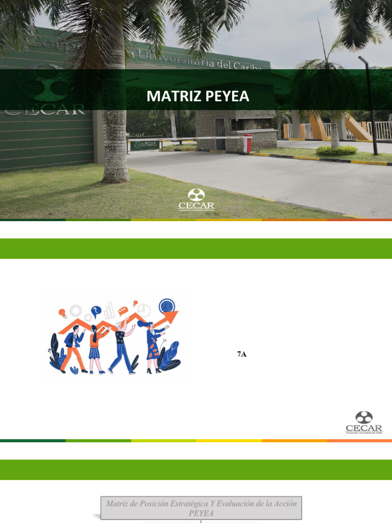Matriz Peyea | PDF