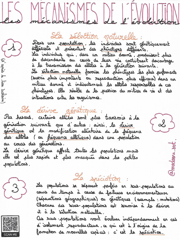 11 - Les Mécanismes de L'évolution | PDF