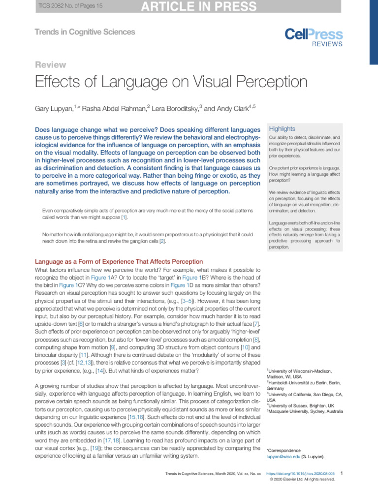 Effects of Language On Visual Perception | PDF