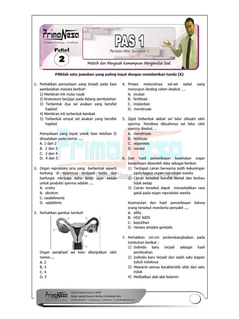 Ipa 9 SMP Pas 2 | PDF