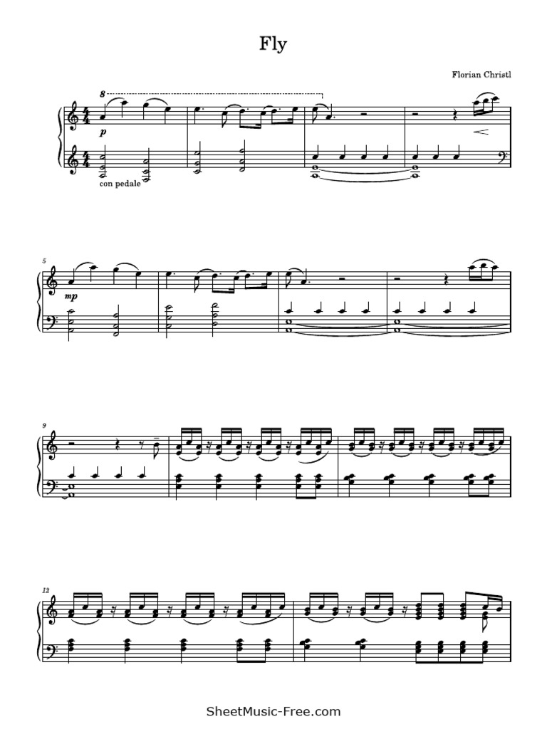 Fly Sheet Music Florian Christl | PDF