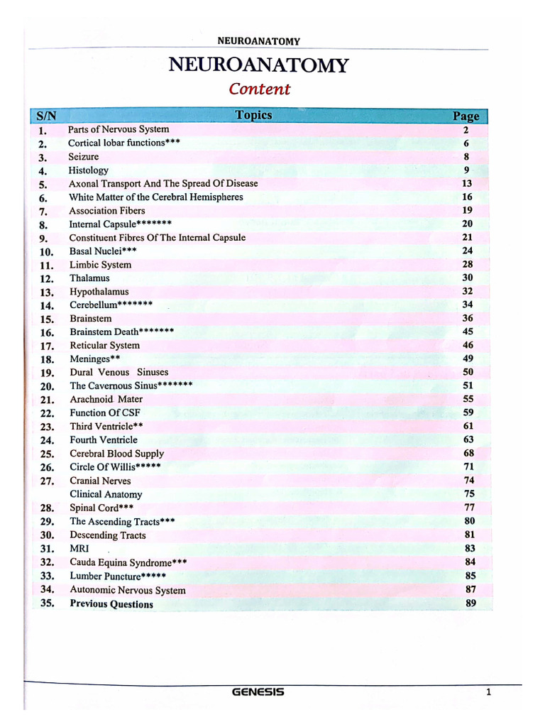 Neuroanatomy 1 | PDF