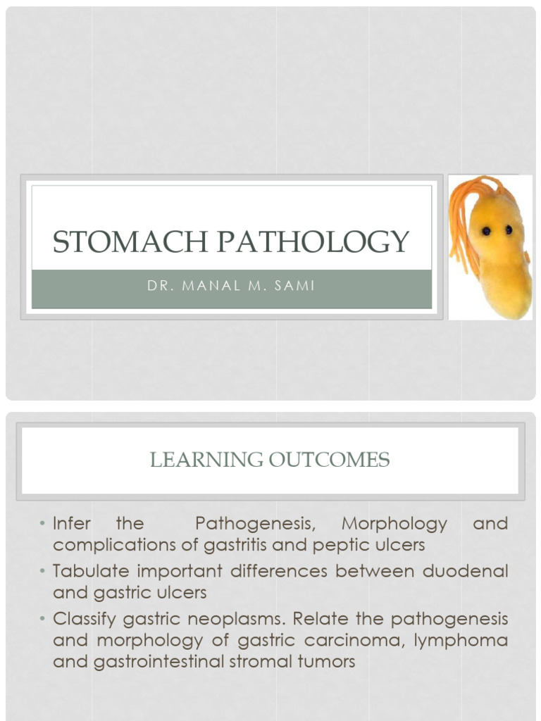Stomach Pathology Updated | PDF