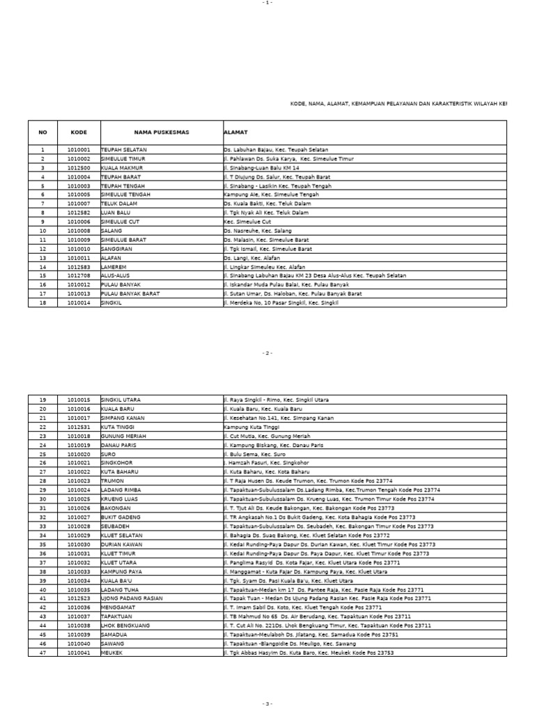 Data Puskesmas | PDF