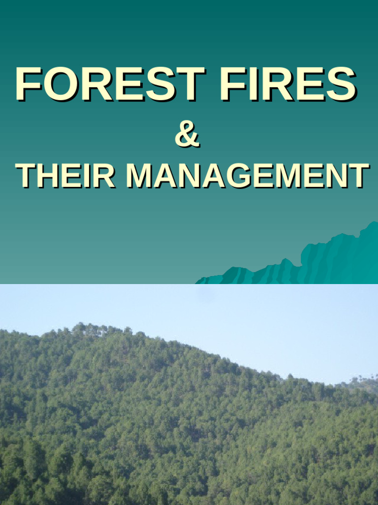 Forest Fire | PDF