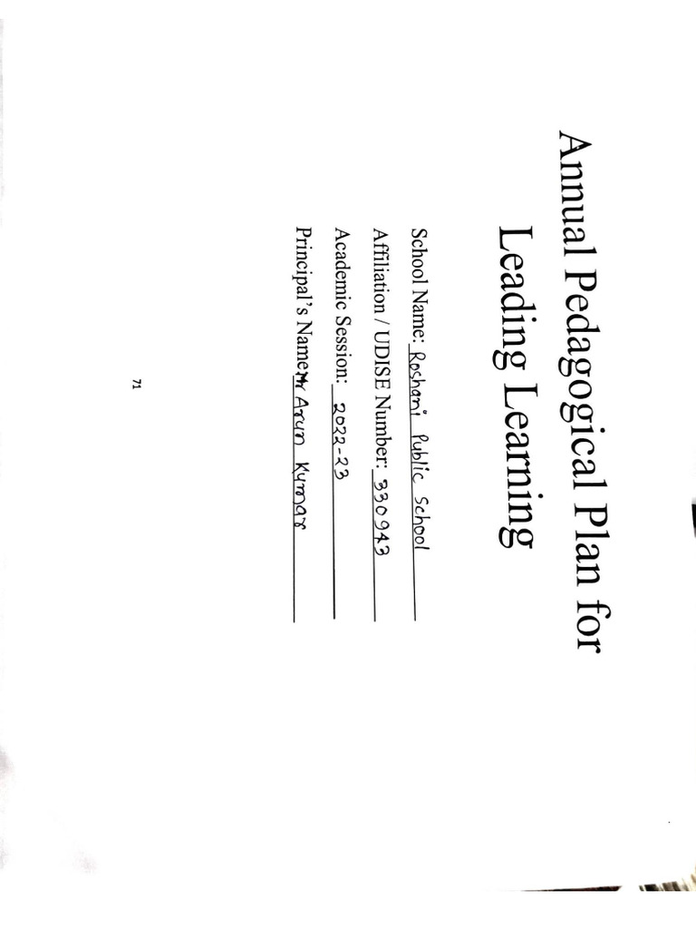 Annual Pedagogical Plan | PDF