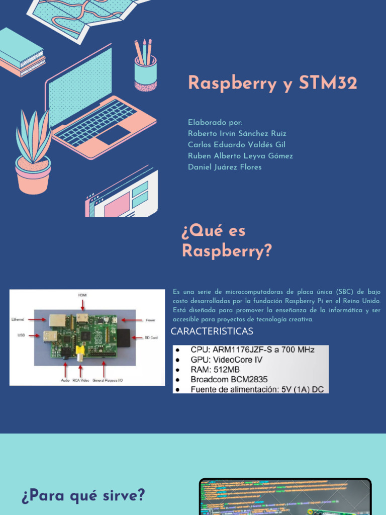 RASP | PDF