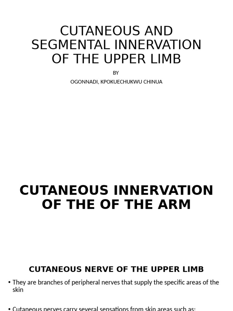 Cutaneous And Segmental Innervation Of The Upper Limb Pdf
