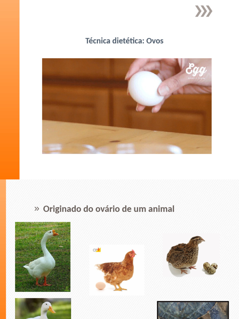 Aula Ovos | PDF