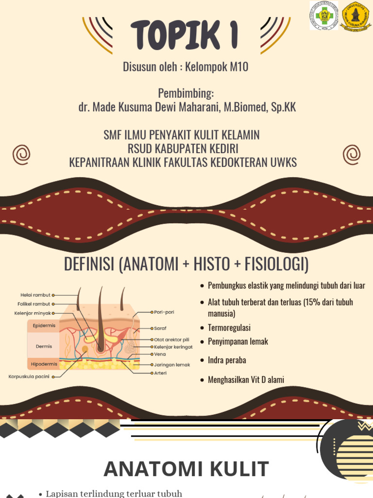 Topik 1 Anatomi Kulit, Eflforesensi Primer-Sekunder, Dan Pemeriksaan Laboratorium kulkel-IMS 2 | PDF