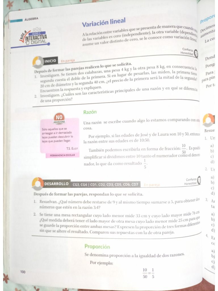 Variación Lineal | PDF