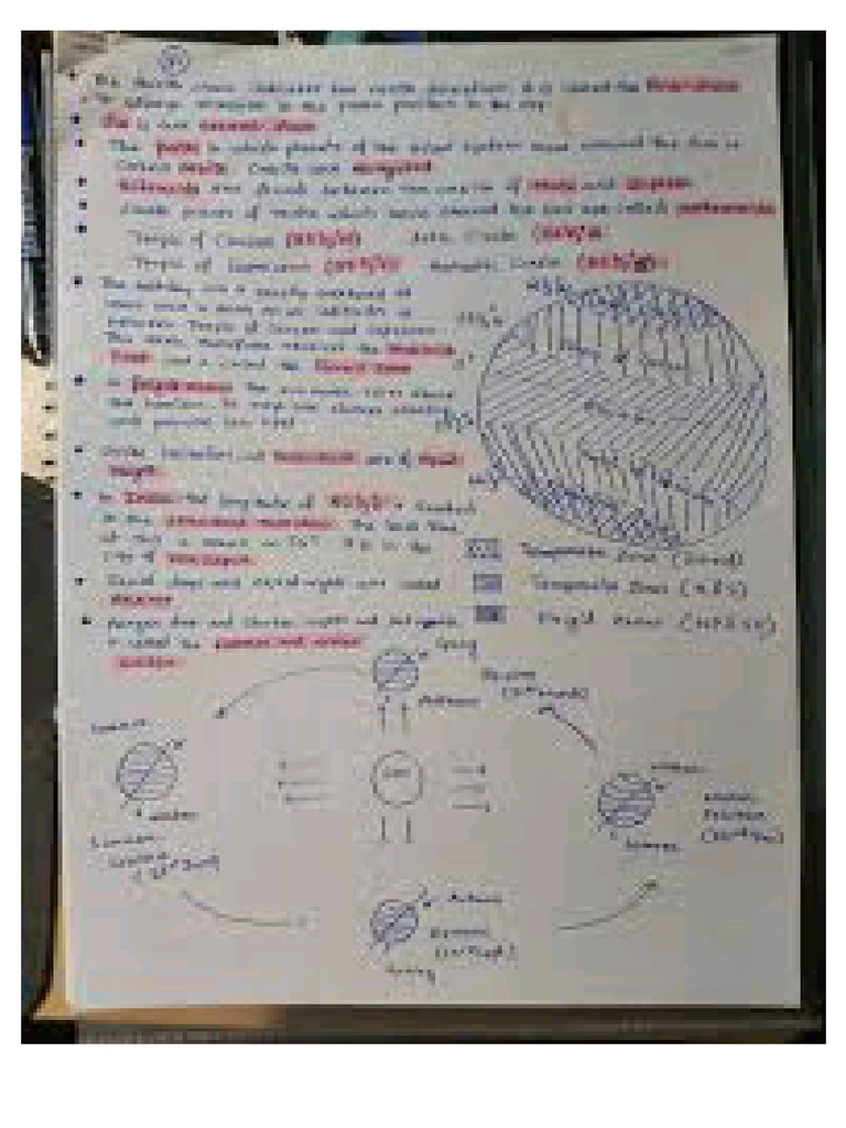 Modern History | PDF