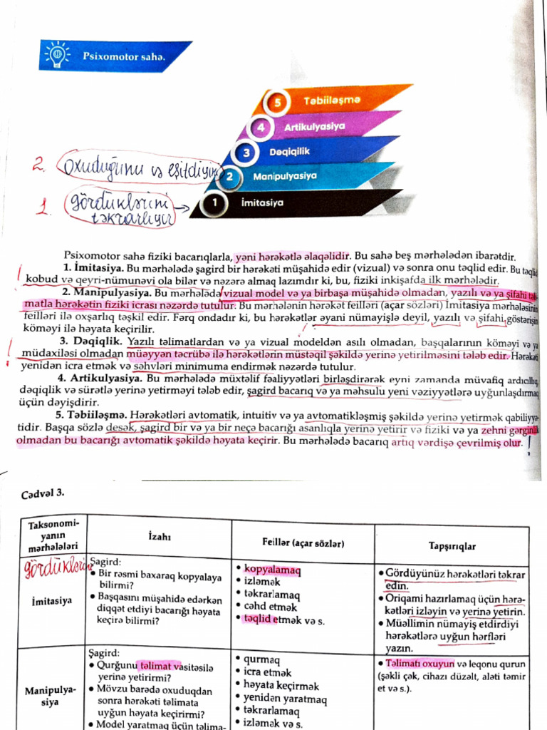 Psixomotor Taks.G.V | PDF