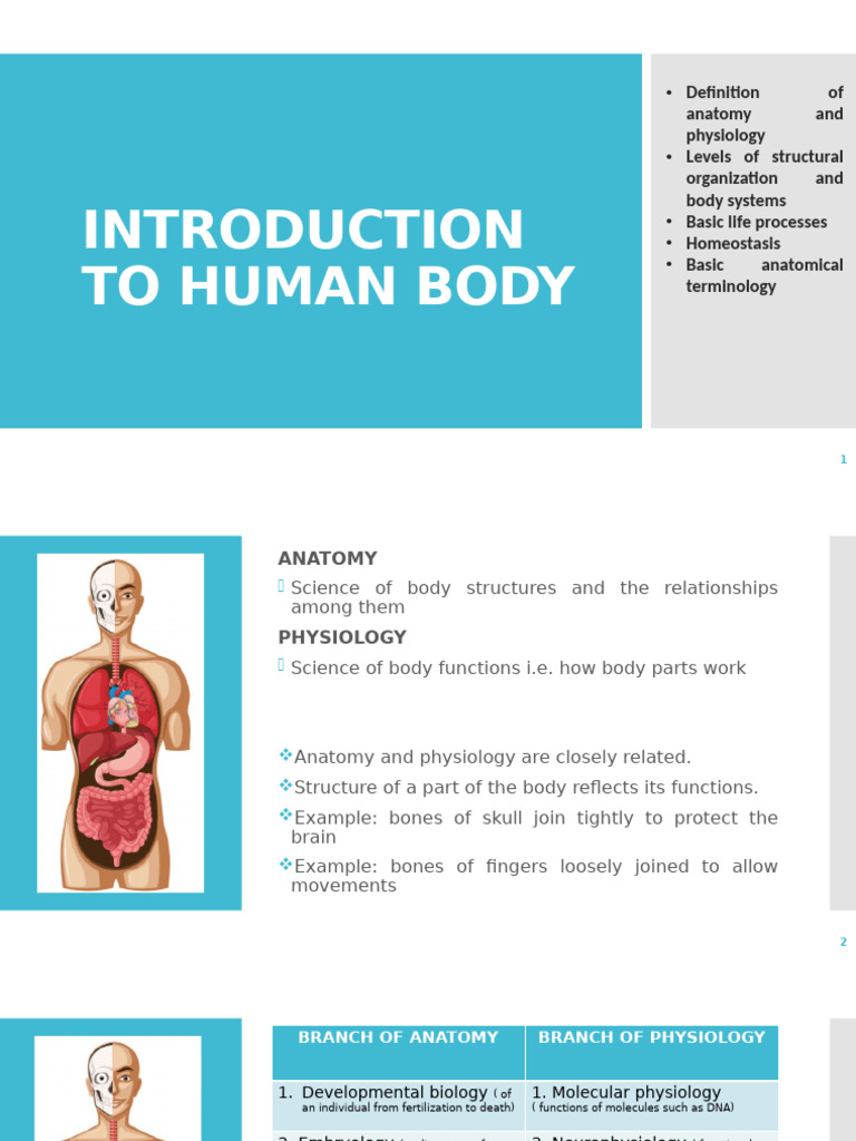 01 Introduction To Human Body | PDF