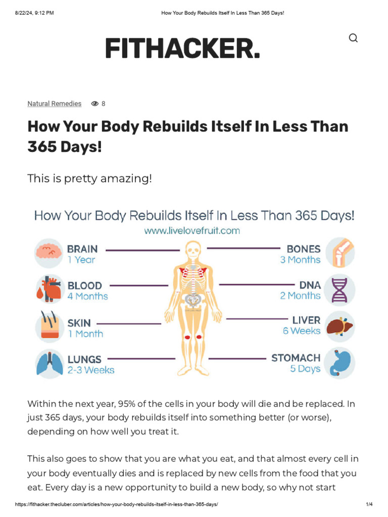How Your Body Rebuilds Itself in Less Than 365 Days! | PDF