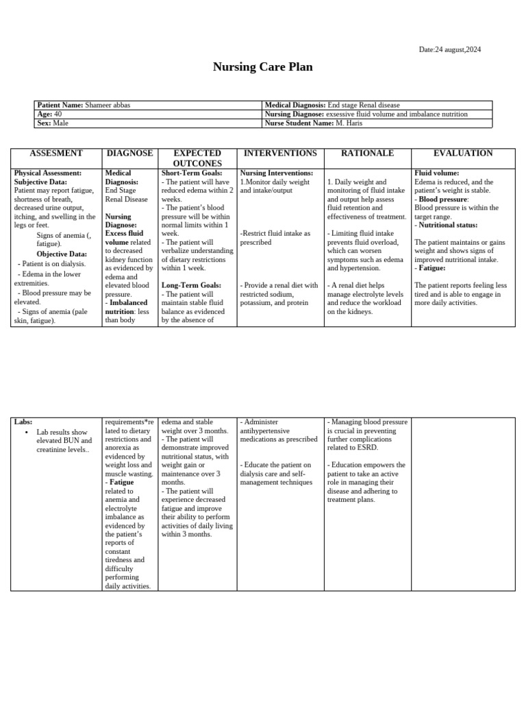 Renal Disease Nursing Care Plan | PDF | Edema | Self-Improvement