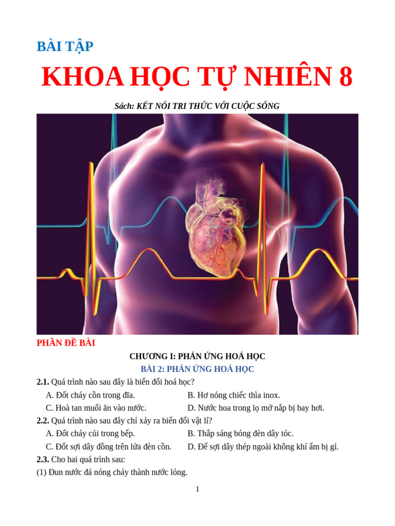 SBT KHTN 8 KNTT | PDF