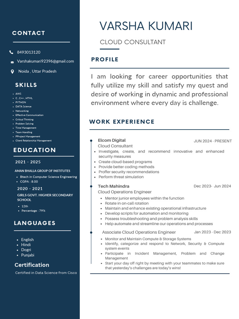 Blue Simple Professional CV Resume | PDF