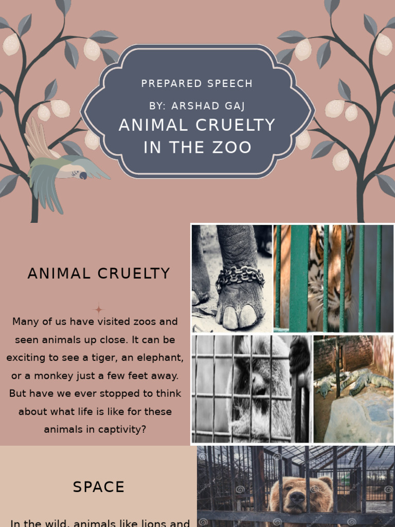 Prepared Speech | PDF
