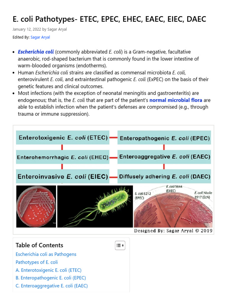 E. Coli Pathotypes - ETEC, EPEC, EHEC, EAEC, EIEC, DAEC | PDF