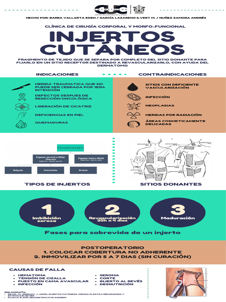 Infografia Injertos Cutáneos | PDF
