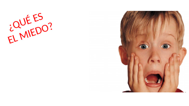 Que Es El Miedo | PDF