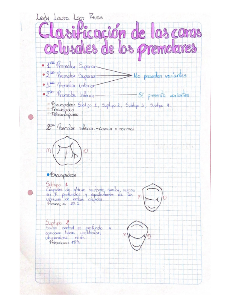 Clasificación de Las Caras Oclusales de Los Premolares | PDF