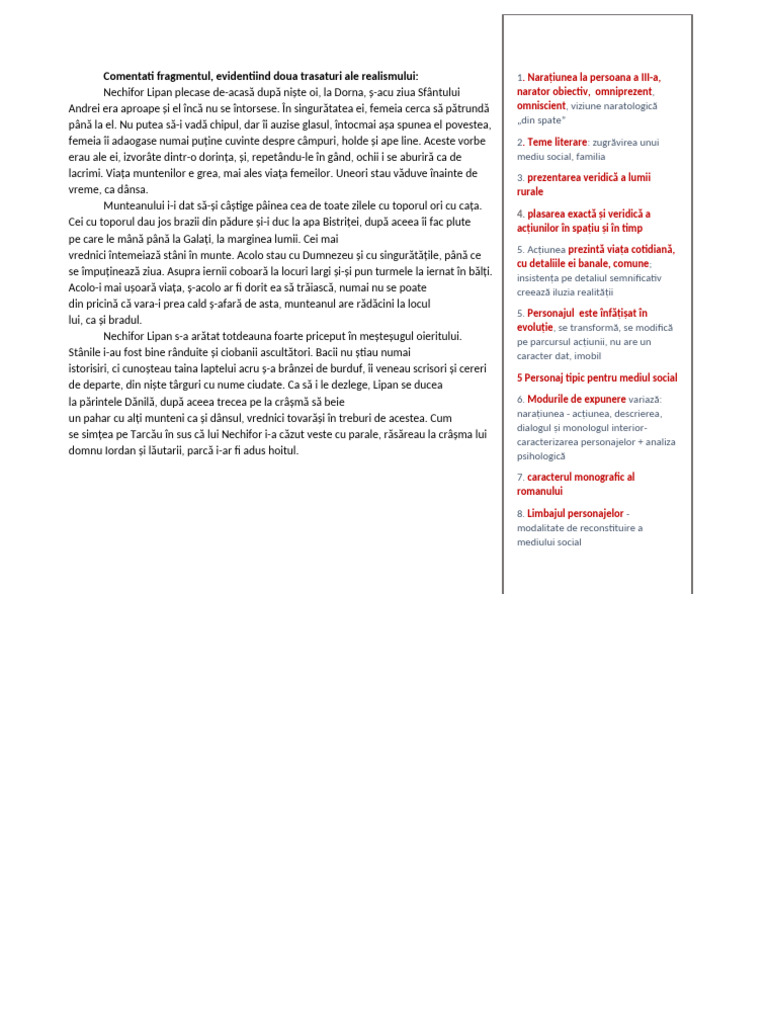 Baltagul Realism | PDF