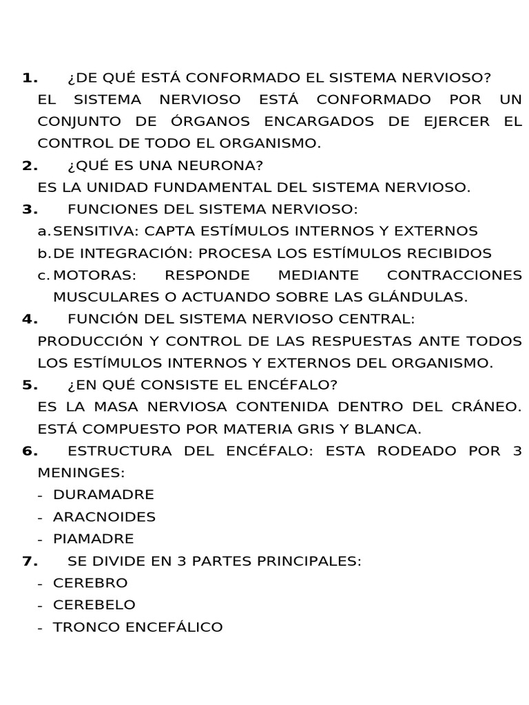 Guia de Estudio para Examen Final de Neuroanatomia | PDF