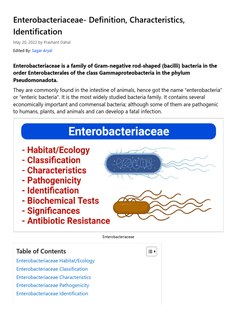 Enterobacteriaceae - Definition, Characteristics, Identification | PDF