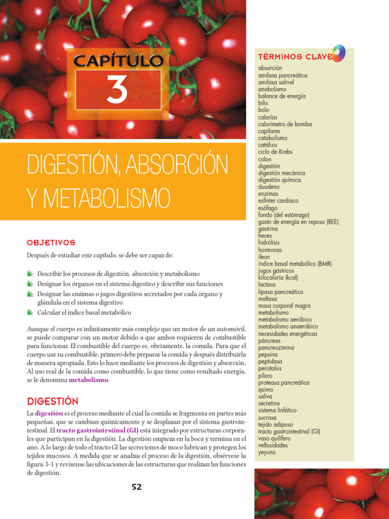 Nutrición y Dietoterapia - Ruth A. Roth (9° Edición) - 80-91 | PDF