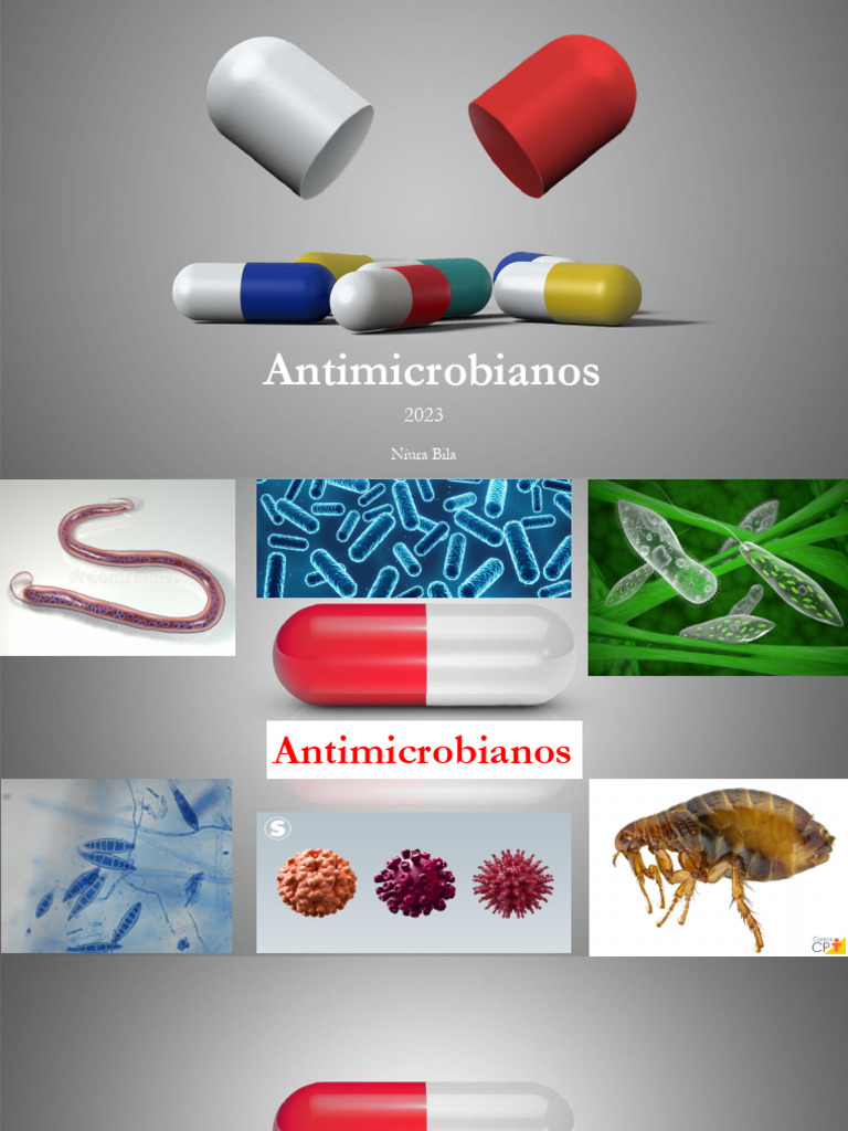 Antibacterianos 2023 | PDF