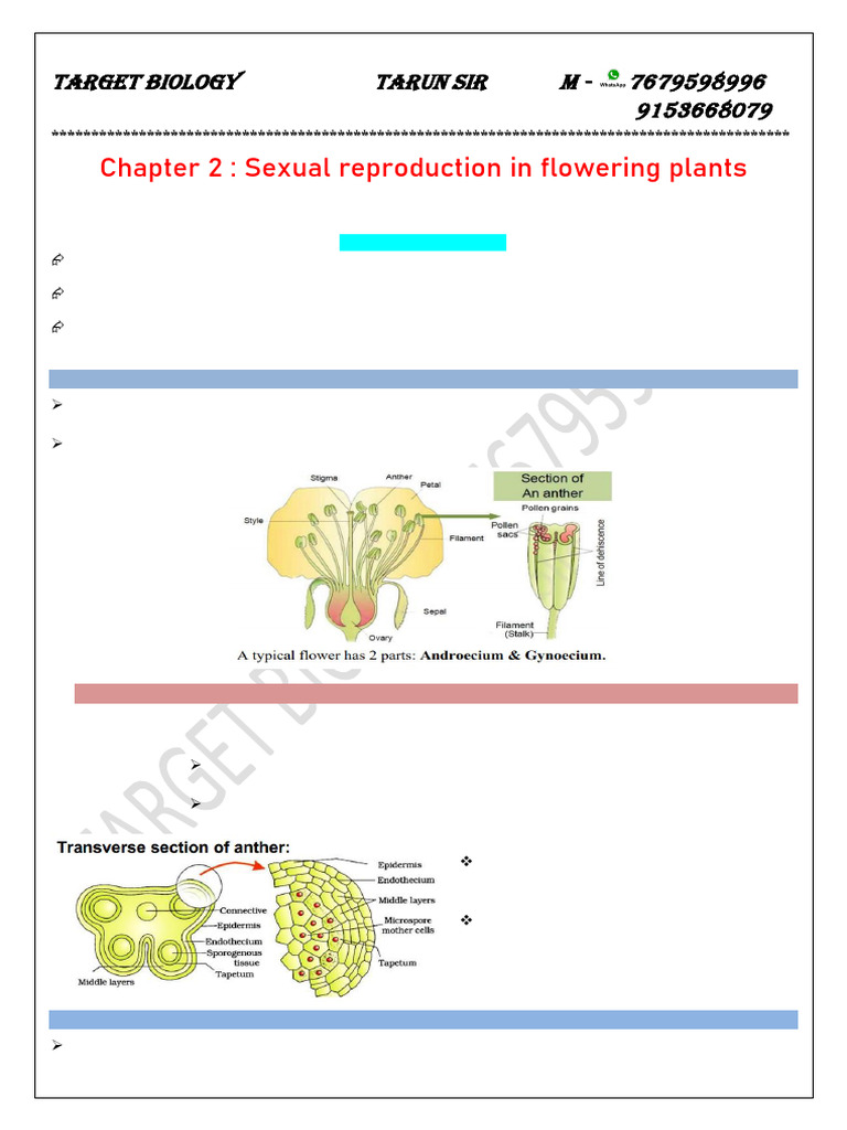 Sexual Reproduction in Flowering Plants NEET | PDF