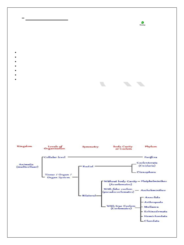 Animal Classification | PDF