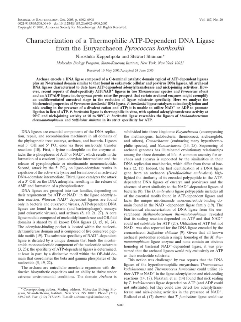 2005 Keppetipola Characterization-Atp-Lig-Pyrococcus JoB | PDF
