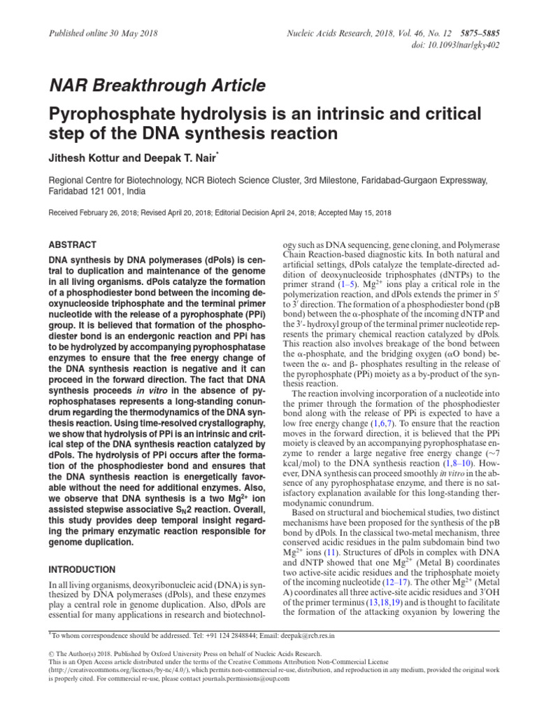 2018 Kottur PPi Hydrolysis in DNA Synthesis NAR | PDF